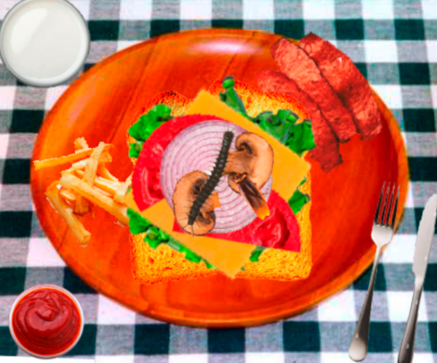 The Sandwich: Understanding Layers in Photoshop – Education Monkey